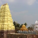 Day Trip to Srisailam (Guided Private Experience by Car from Hyderabad) - The Guide and Local Tips