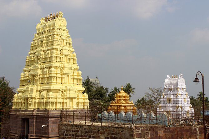 Day Trip to Srisailam (Guided Private Experience by Car from Hyderabad) - The Guide and Local Tips