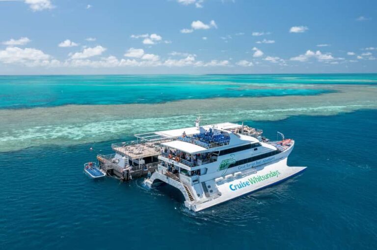 Daydream Island: Great Barrier Reef Adventure Cruise - Authentic Feedback from Travelers