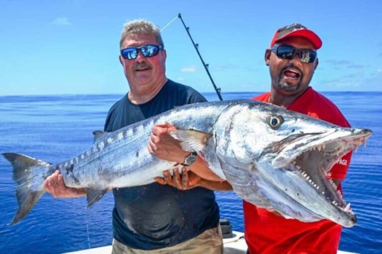 Deep Sea Fishing Tour in Trincomalee - The Itinerary and What to Expect