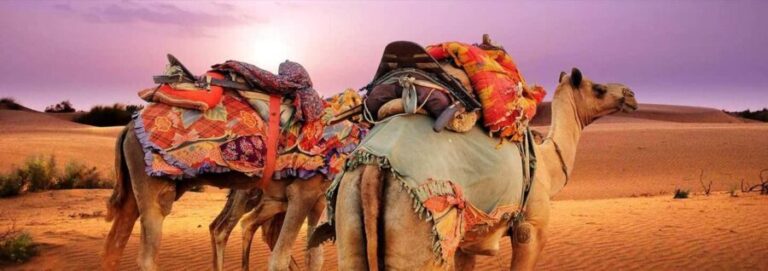Delhi:- 06- Days Rajasthan, Heritage, Forts & Cultural Tour - What Makes This Tour Stand Out?