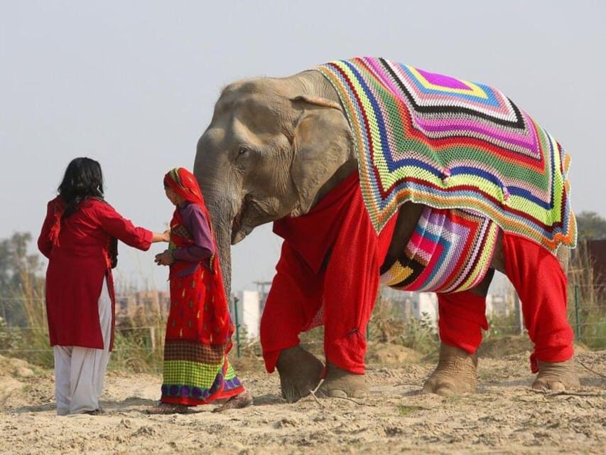 Delhi: 3Day Golden Triangle with Elephant SOS (5 Star Hotel) - Day 2: Agra & the Elephant Reserve