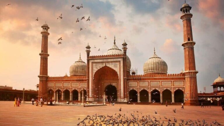 Delhi: Old and New Delhi Private Full or Half-Day Tour - Who Should Consider This Tour?