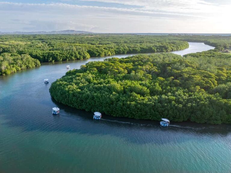 Denarau: Self Drive BBQ eBoat Cruise with Onboard BBQ Fiji - Practical Details for Planning Your Trip