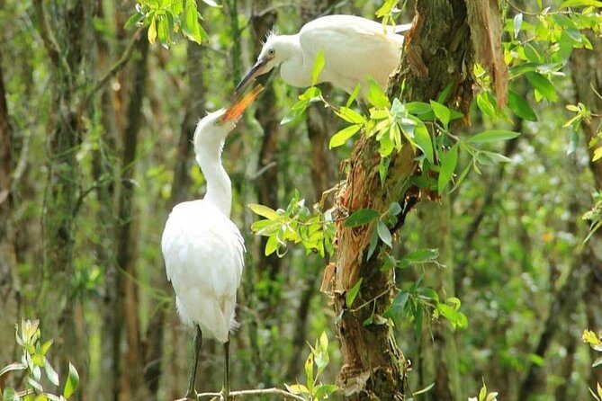 Discover Tan Lap Floating Village from Ho Chi Minh city - Transportation and Logistics
