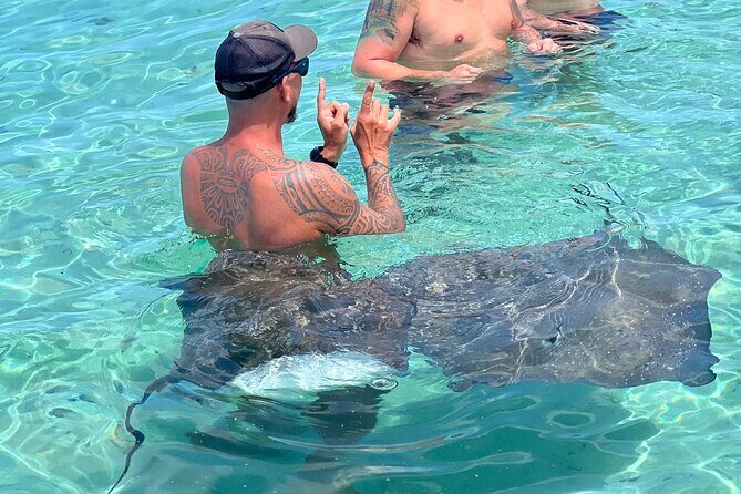 Discover the unspoilt sites of the lagoon DE Moorea - The Practical Side: Logistics and Value