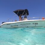 Discovery of the lagoon DE Moorea Visit and Snorkeling 5 Pax Max - Equipment and Practical Considerations