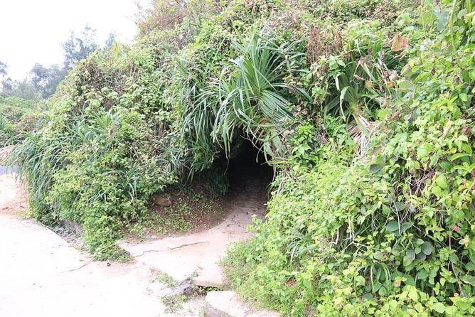 DMZ TRIP with English Speaking Driver from Hue City - Who Will Love This Tour?