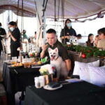 Dog Cruise onboard a Tall Ship with 4 Course Meal - Why This Cruise Might Be Perfect for You