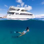 Dolphin & Tangalooma Wrecks Snorkel Cruise & Lunch - Gold Coast - What the Reviews Say