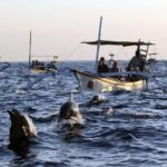 Dolphin Tour and Sunrise Watching in Lovina Beach - All Inclusive - Authenticity & Value