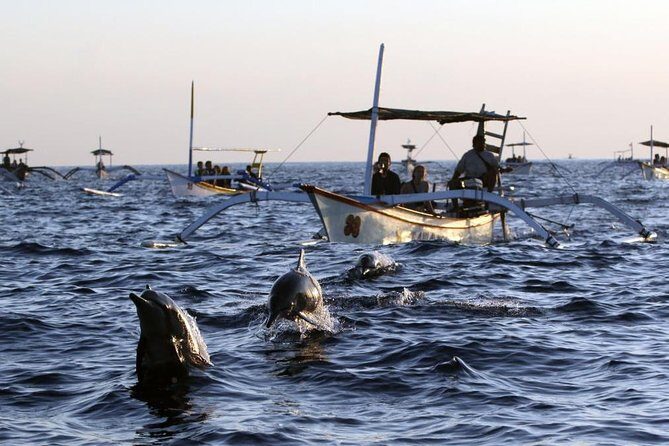 Dolphin Tour and Sunrise Watching in Lovina Beach - All Inclusive - Authenticity & Value