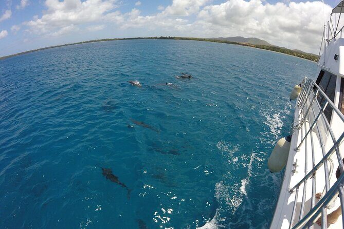Dolphin Watching Cruise with Underwater Observatory Viewing - Practical Tips for a Smooth Experience