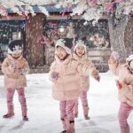 Dream World Theme Park "Super Visa" with Return Transfer & Lunch - Final Thoughts: Is It Worth it?