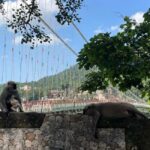 Drive to Divinity: A Perfect Day Tour of Rishikesh by Car - Practical Considerations and Tips