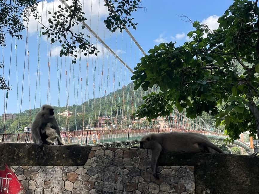 Drive to Divinity: A Perfect Day Tour of Rishikesh by Car - Practical Considerations and Tips