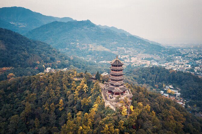 Dujiangyan Irrigation System and Panda Base Day tour - What’s Included and What’s Not