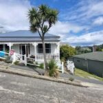 Dunedin City & Coastal Views 3-Hour Small-Group Tour - In-Depth Breakdown of the Itinerary