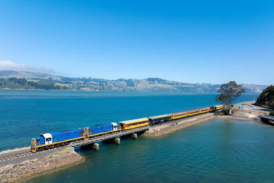 Dunedin: Scenic Railway Tour of Otago's Coastline - What to Bring and Wear