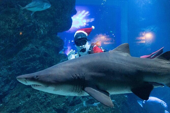 Duo SEA LIFE and Madame Tussauds Ticket in Bangkok - The Combo Ticket: Perfect for Flexibility