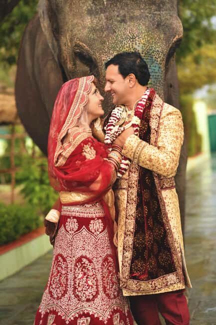 Elefantastic Elephant Sanctuary Tour - Authentic Reviews Highlight the Experience