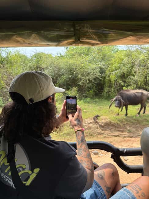 Ella: Highlands to Coast Tour With Safari & Village Lunch - Scenic Transfer to the South Coast