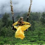 Ella Swing - The Booking and Practical Details