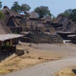 Ende/Maumere to Labuan Bajo Flores Overland Tour 7 Days Car Trip - What Travelers Say