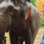 Ethical Elephant Visit and White Water Rafting in Chiang Mai - The White Water Rafting: An Adrenaline Rush