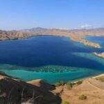 Exclusive Early Bird Komodo Tour: Beat the Crowds by Speed Boat - What Makes This Tour Stand Out?