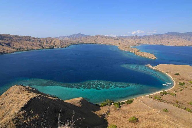 Exclusive Early Bird Komodo Tour: Beat the Crowds by Speed Boat - What Makes This Tour Stand Out?