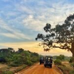 Exclusive : Full Day Leopard Safari at Yala National Park - Itinerary Breakdown: What to Expect