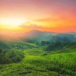 Exclusive Kerala Beauty, Munnar Hill Station Overnight Tour - What Makes This Tour Stand Out?