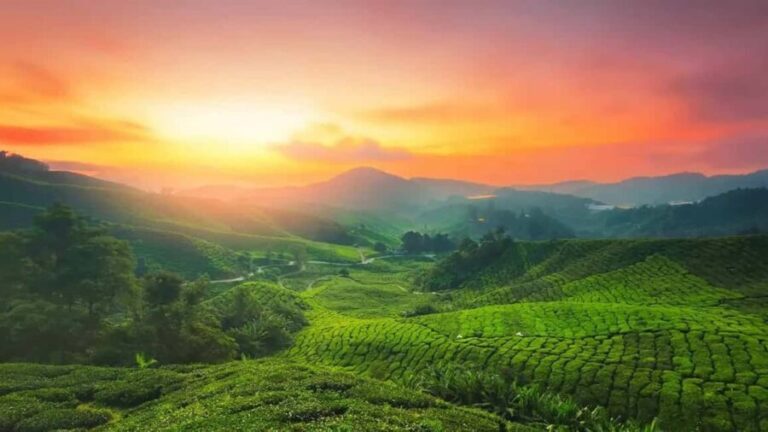 Exclusive Kerala Beauty, Munnar Hill Station Overnight Tour - What Makes This Tour Stand Out?