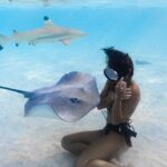 Exclusive sunset excursion in the lagoon Shark rays - Detailed Itinerary Breakdown