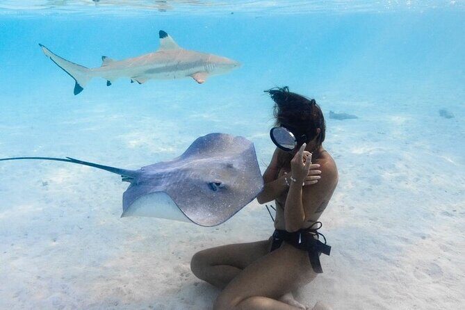 Exclusive sunset excursion in the lagoon Shark rays - Detailed Itinerary Breakdown