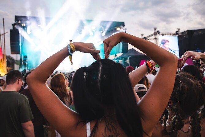 Experience the BASSINTHEGRASS Music Festival at Mindil Beach - The Morning and Evening Experience