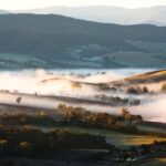 Experience Yarra Valley: A Tailored private Wine Journey - Detailed Itinerary Breakdown: What to Expect