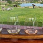 Explore Bannockburn Wineries & Private Wine Retreat by eBike - Who Will Love This Tour?