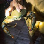 Explore Ca Mau: Dat Mui National Park - What Travelers Are Saying