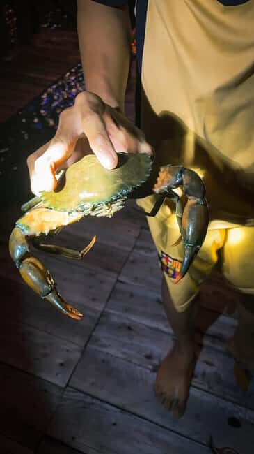 Explore Ca Mau: Dat Mui National Park - What Travelers Are Saying