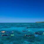Explore Green Island with Diving options from Cairns - Who Will Love This Tour?