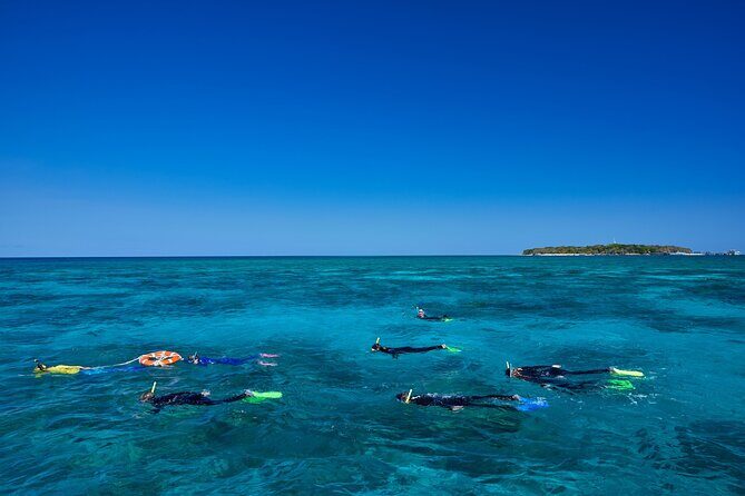 Explore Green Island with Diving options from Cairns - Who Will Love This Tour?