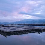 Explore Miyajima Sail from Miyahama Onsen - Who Is This Tour Best For?