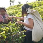 Explore the best of Ella. Hiking, waterfalls and cultural tour - Why This Tour Offers Great Value