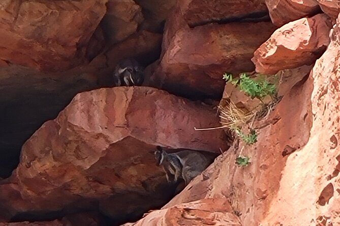 Explore the Hidden Gorges: Kalbarri 4WD, Hike, Canoe Experience - Practical Tips for Participants