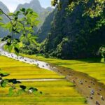 Exploring Hoa Lu - Tam Coc in Ninh Binh - Full Day - Cycling Through the Countryside