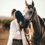 Fairlie,New Zealand: Full Day Private Backcountry Horse Trek - What’s Included and Practical Details