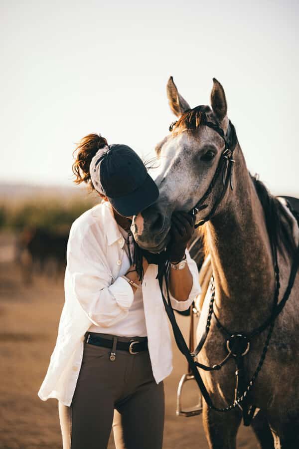 Fairlie,New Zealand: Full Day Private Backcountry Horse Trek - What’s Included and Practical Details