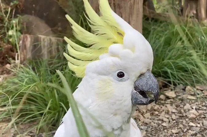 Family trip to staglands wildlife sanctuary - What to Expect: A Detailed Breakdown of the Itinerary